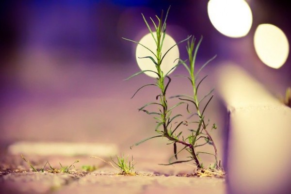 Bercanda Menurut Pandangan Islam