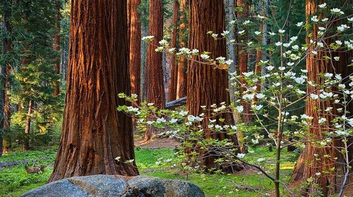 Nama Allah As-Shamad, Penguasa Yang Maha Sempurna dan Teempat ...